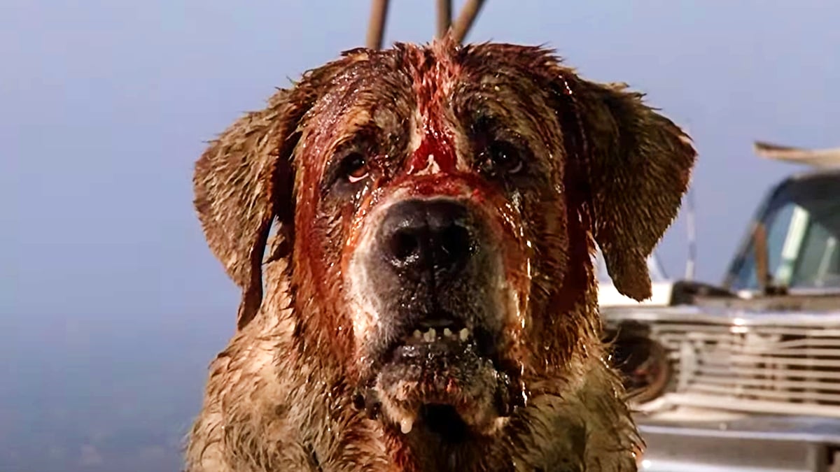 Rabid Fans Howl With Rage As Netflix Sets To Adapt Stephen King’s ...